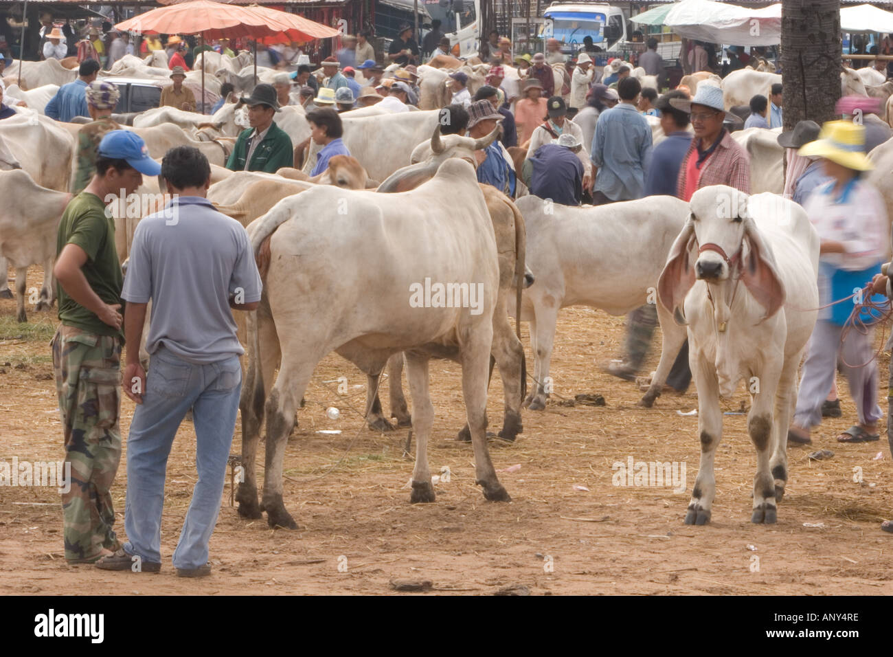 Isan area hi-res stock photography and images - Alamy