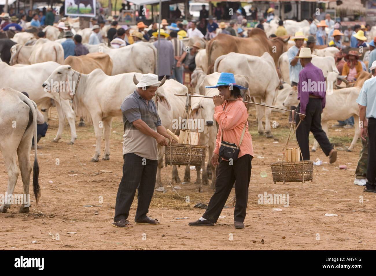 Isan area hi-res stock photography and images - Alamy
