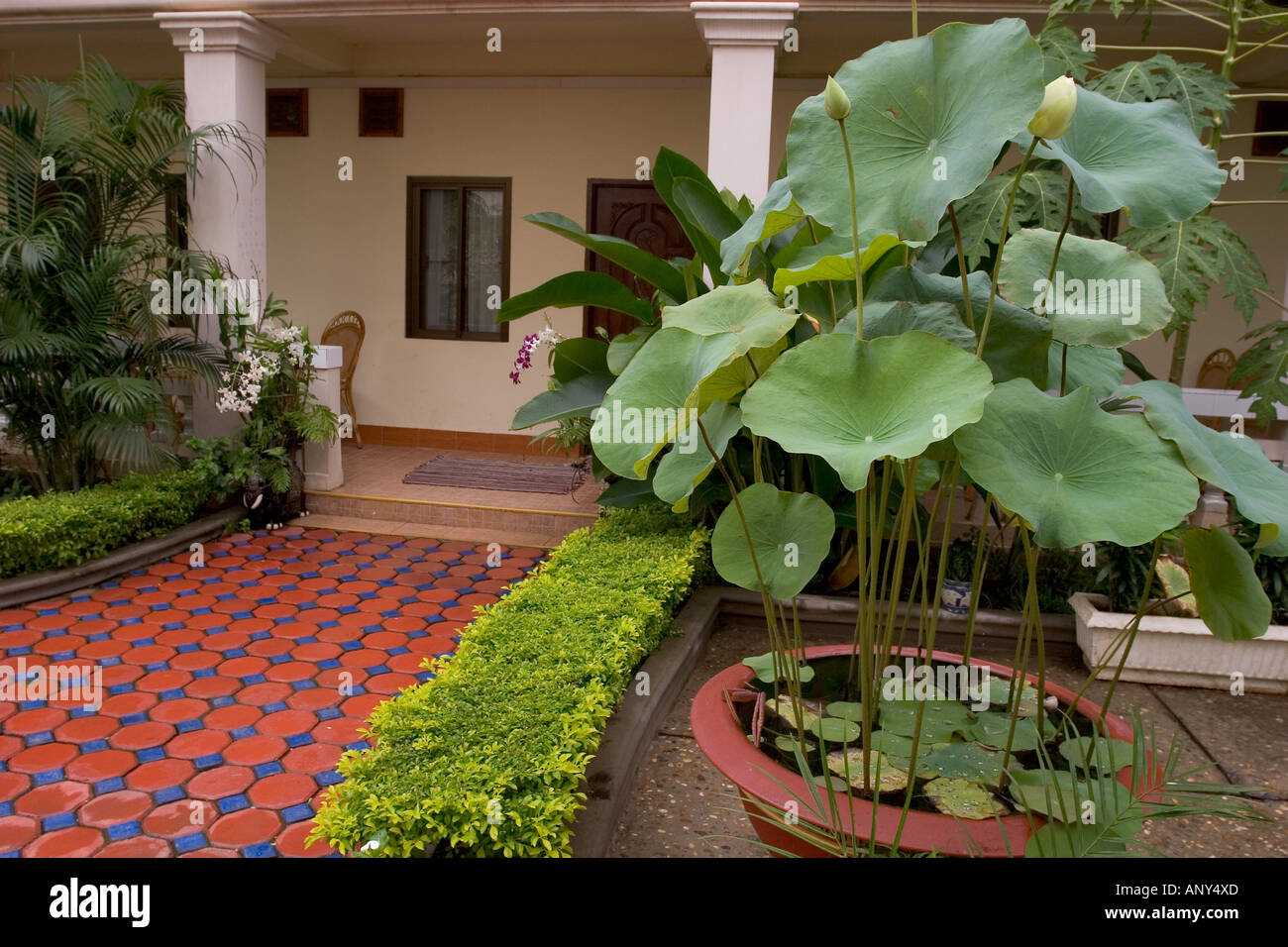 Laos, Vientiane, Garden detail, colonial house, Guest house Stock Photo ...