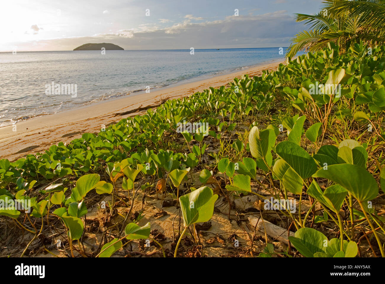 South Pacific, Fiji, Kadavu. West coast beach of Dravuni Island Stock ...