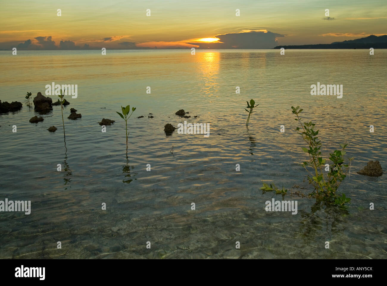 Southern leyte hi-res stock photography and images - Alamy