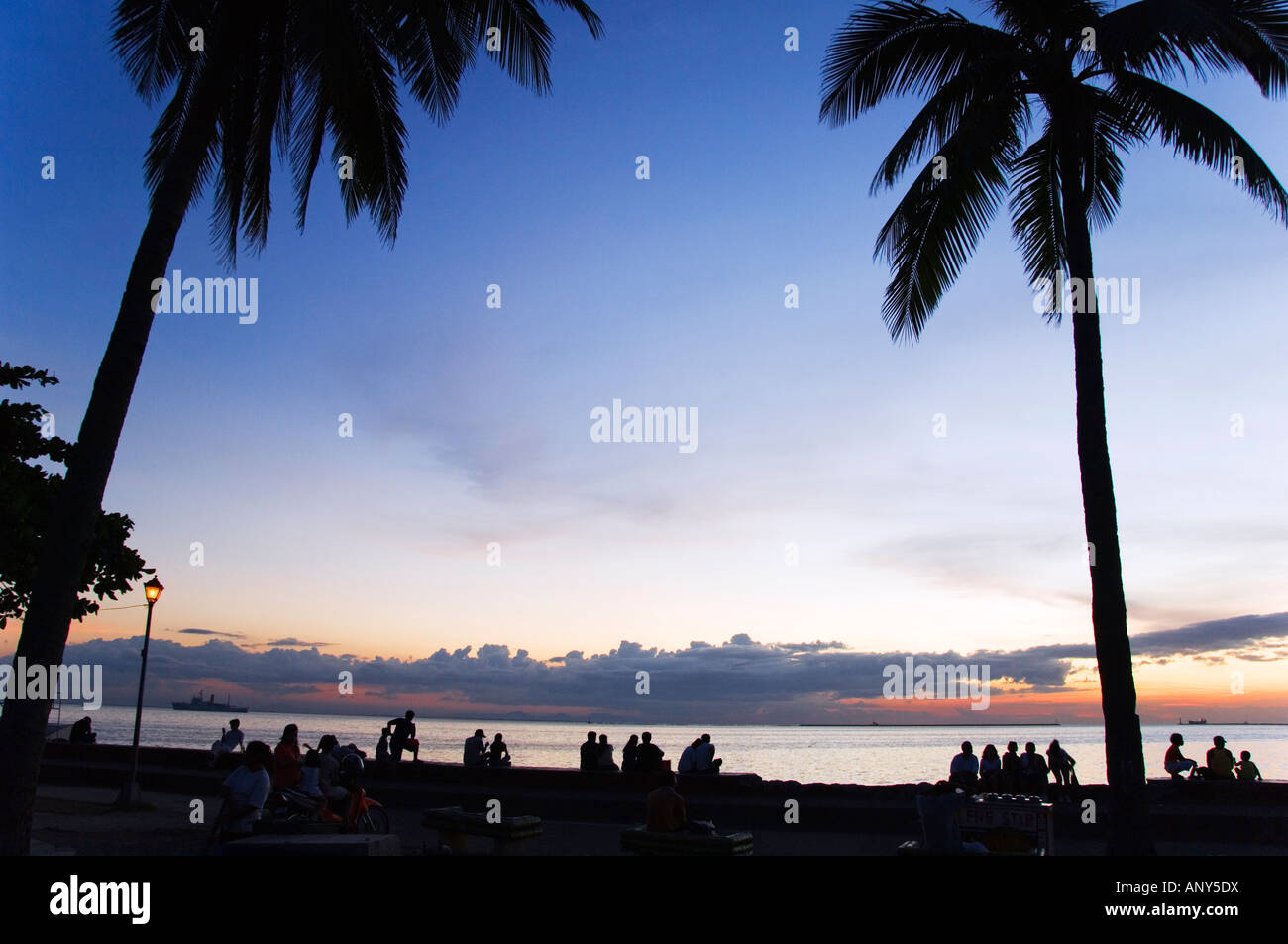 Philippines, Luzon, Manila. Palm trees on Manila Bay at sunset Stock ...