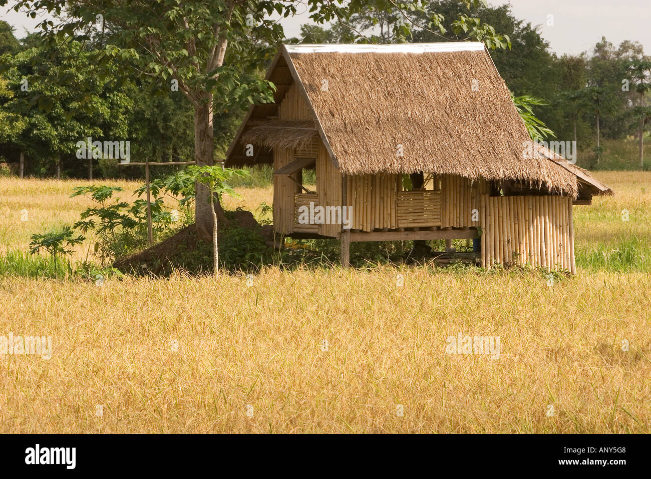 Thailand, Hut in the Tambon Nong Hin Valley Stock Photo - Alamy