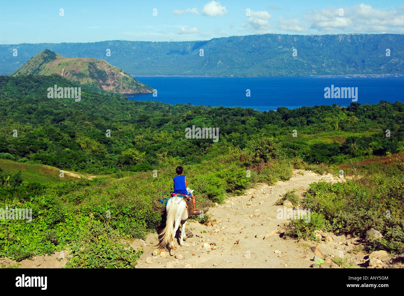 Philippines, Luzon, Batangas, Talisay. Horse riding on Taal Volcano ...
