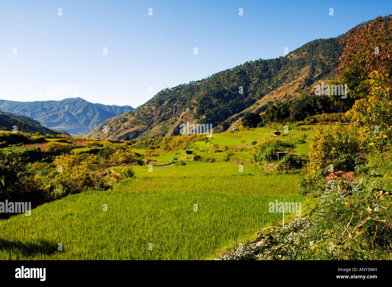 Philippines, Luzon Island, The Cordillera Mountains, Benguet Province ...