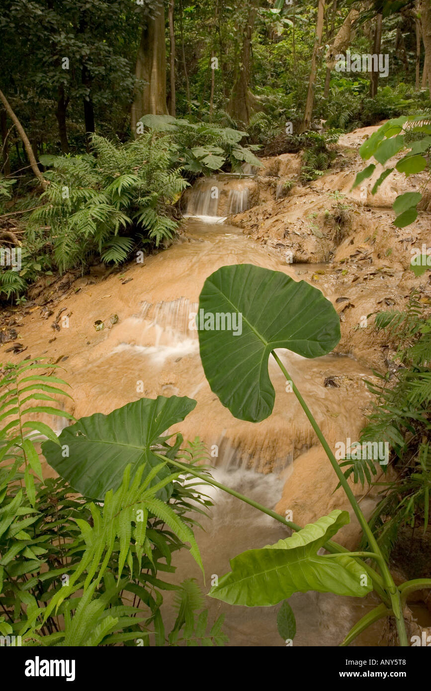 Thailand, Rock Garden Region, Waterfall and trees in tropical ...