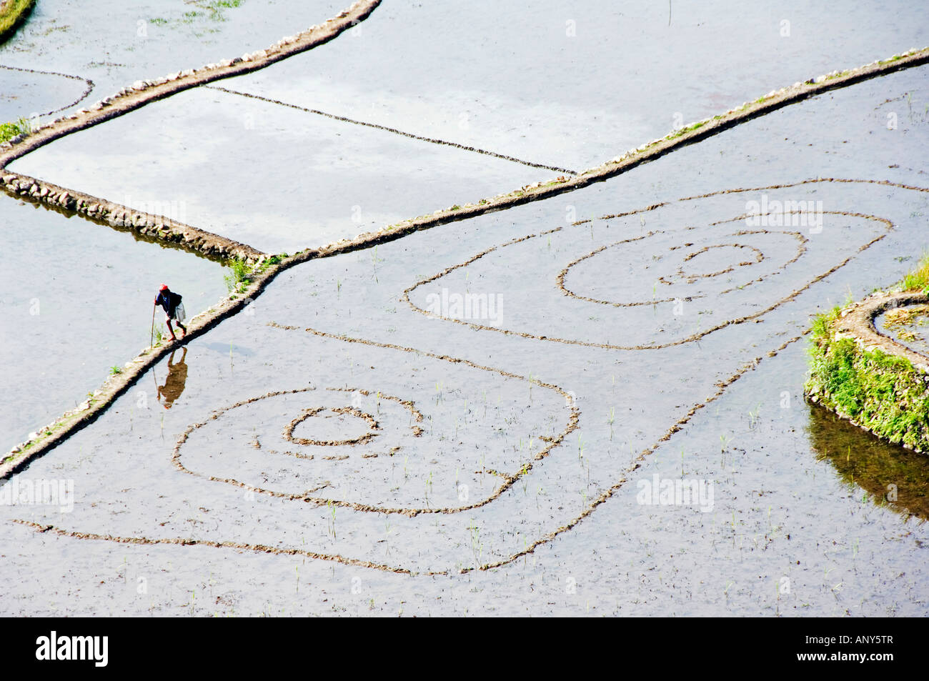 Philippines, Luzon Island, The Cordillera Mountains, Kalinga Province ...