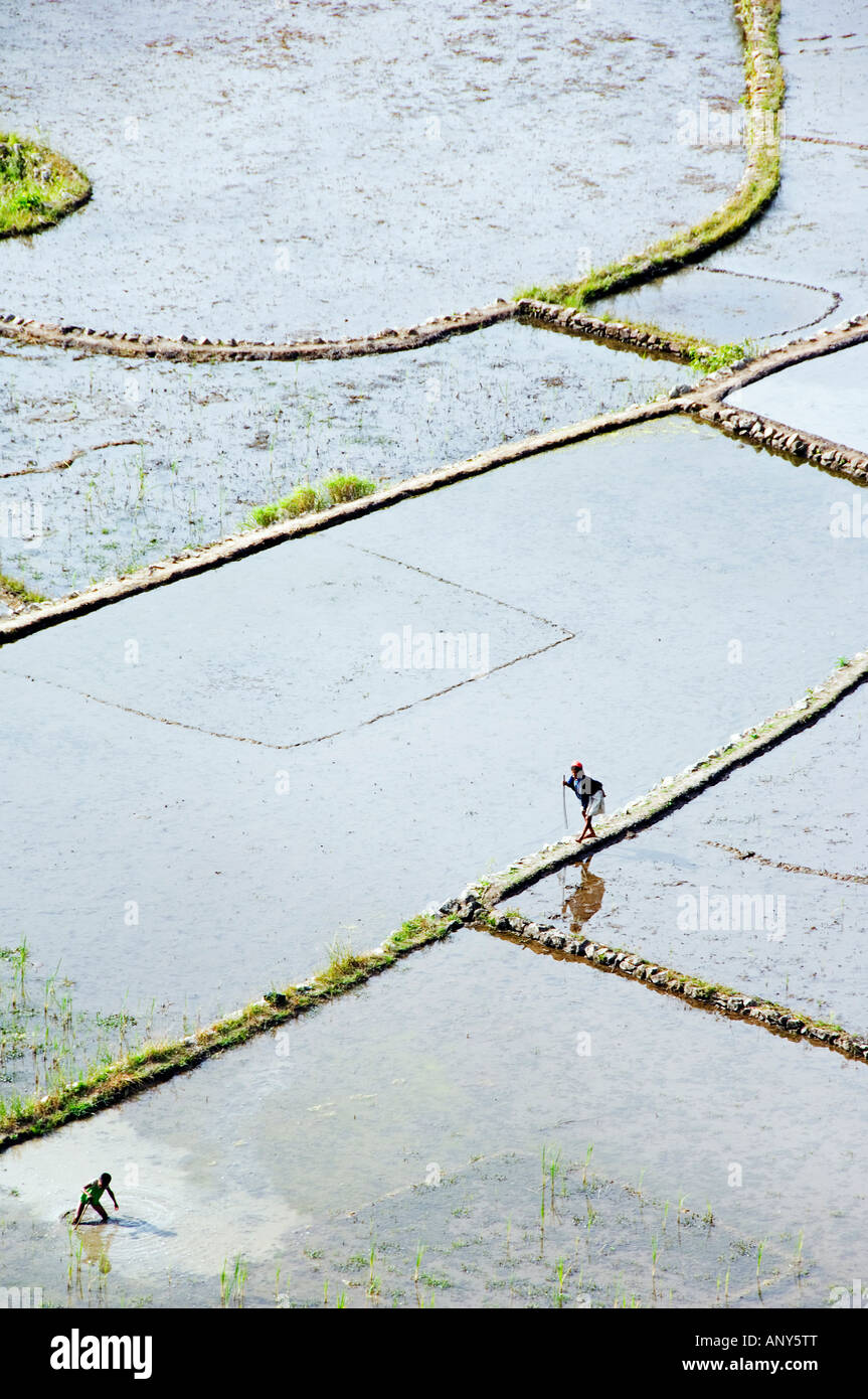 Philippines, Luzon Island, The Cordillera Mountains, Kalinga Province ...