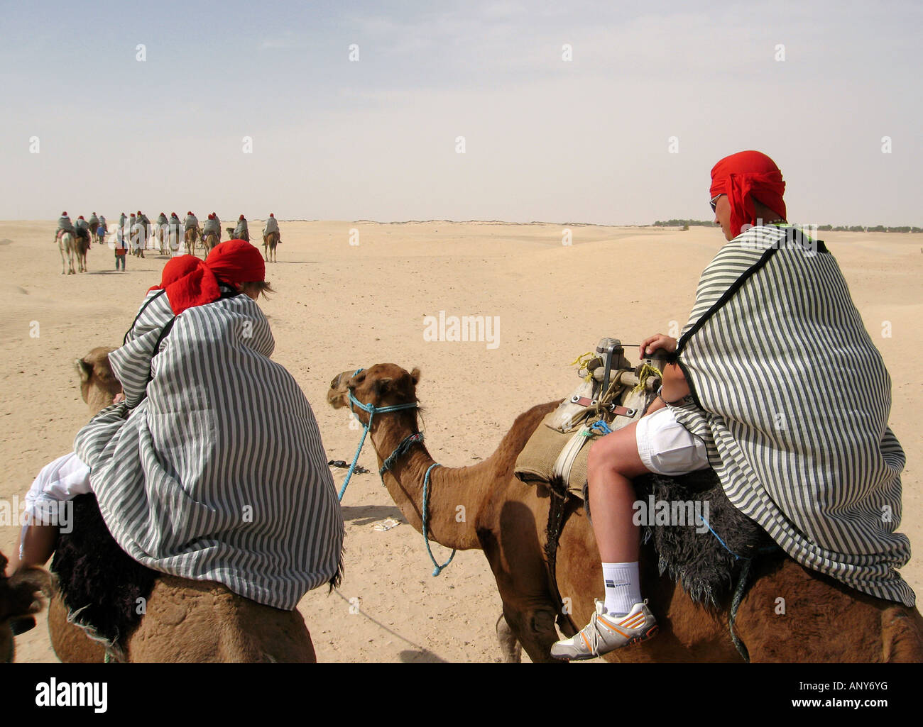 Tunisia Tourists camel rides Sahara desert Stock Photo - Alamy