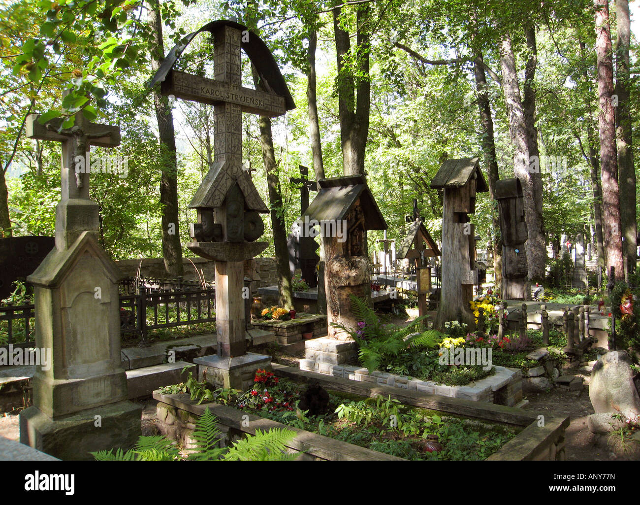 Poland Zakopane Peksowy Brzyzek oldest Cemetery Stock Photo - Alamy