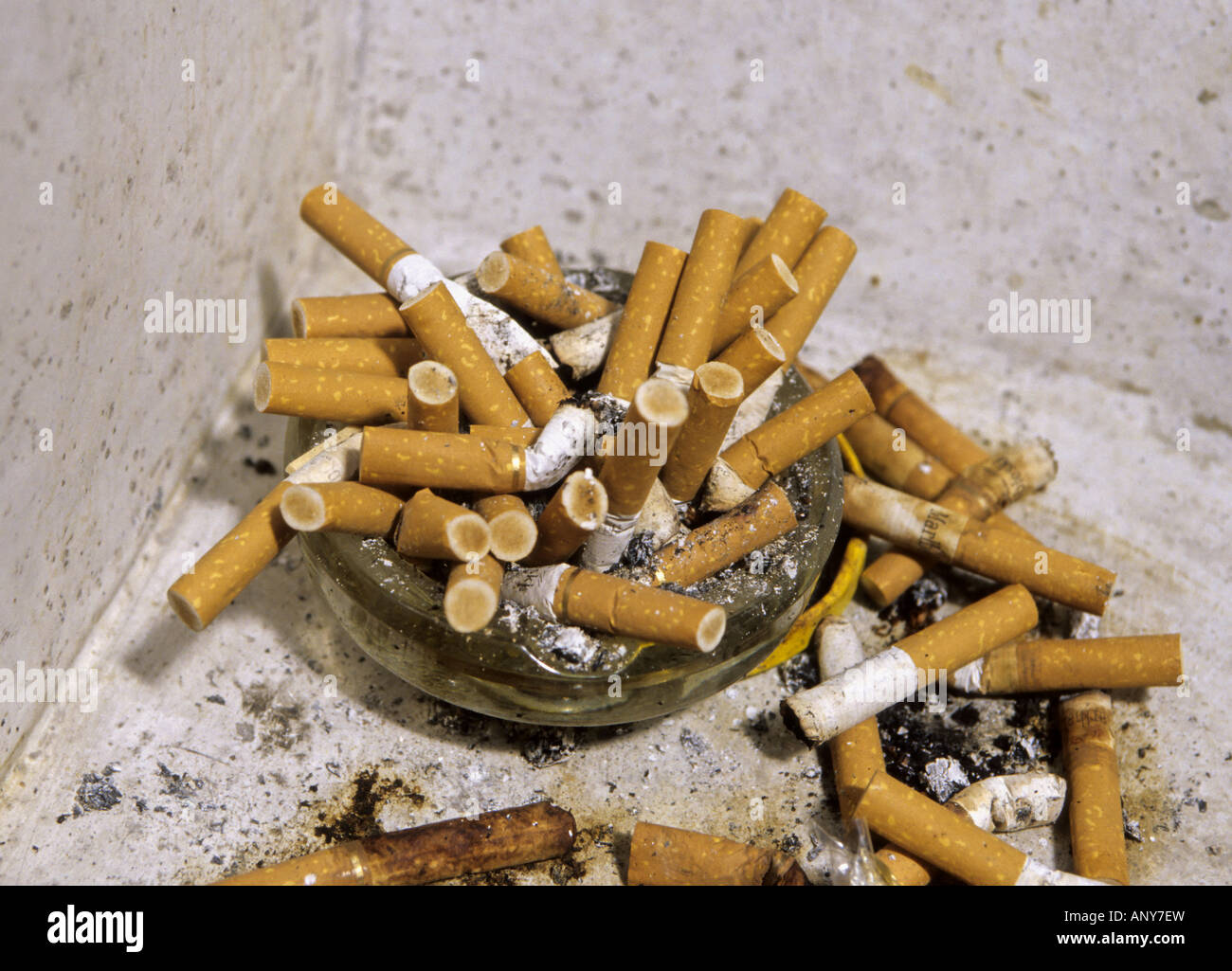 Cigarette Buds Stock Photos & Cigarette Buds Stock Images - Alamy