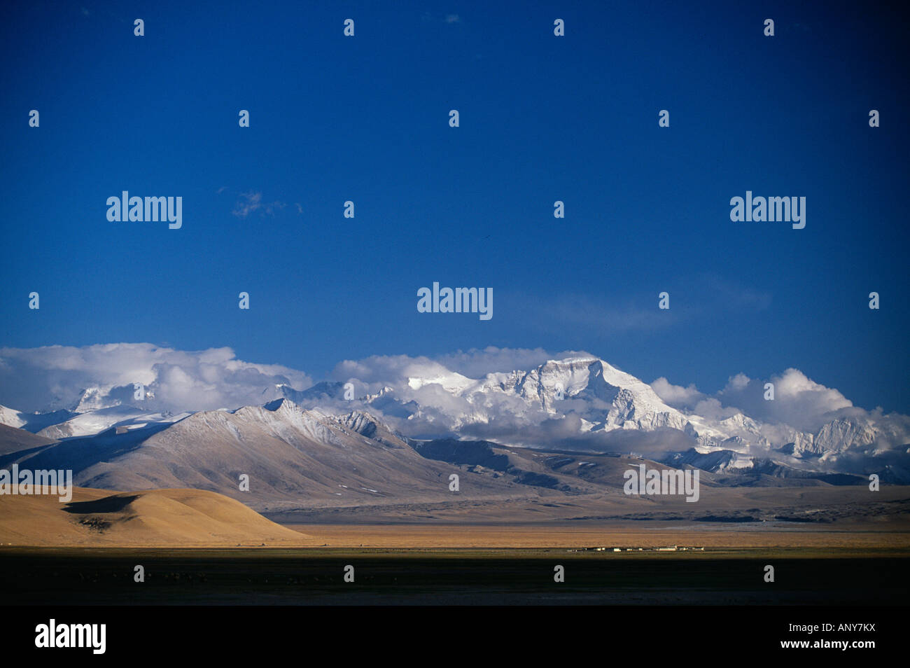 Tibet, Tingri, Cho Oyu (8,201m). View across the Tingri Plain with the ...