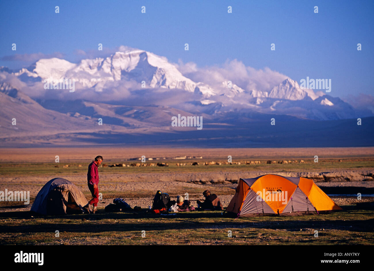 Tibet, Tingri, Cho Oyu (8,201m). Expedition camp on the Tingri Plain ...