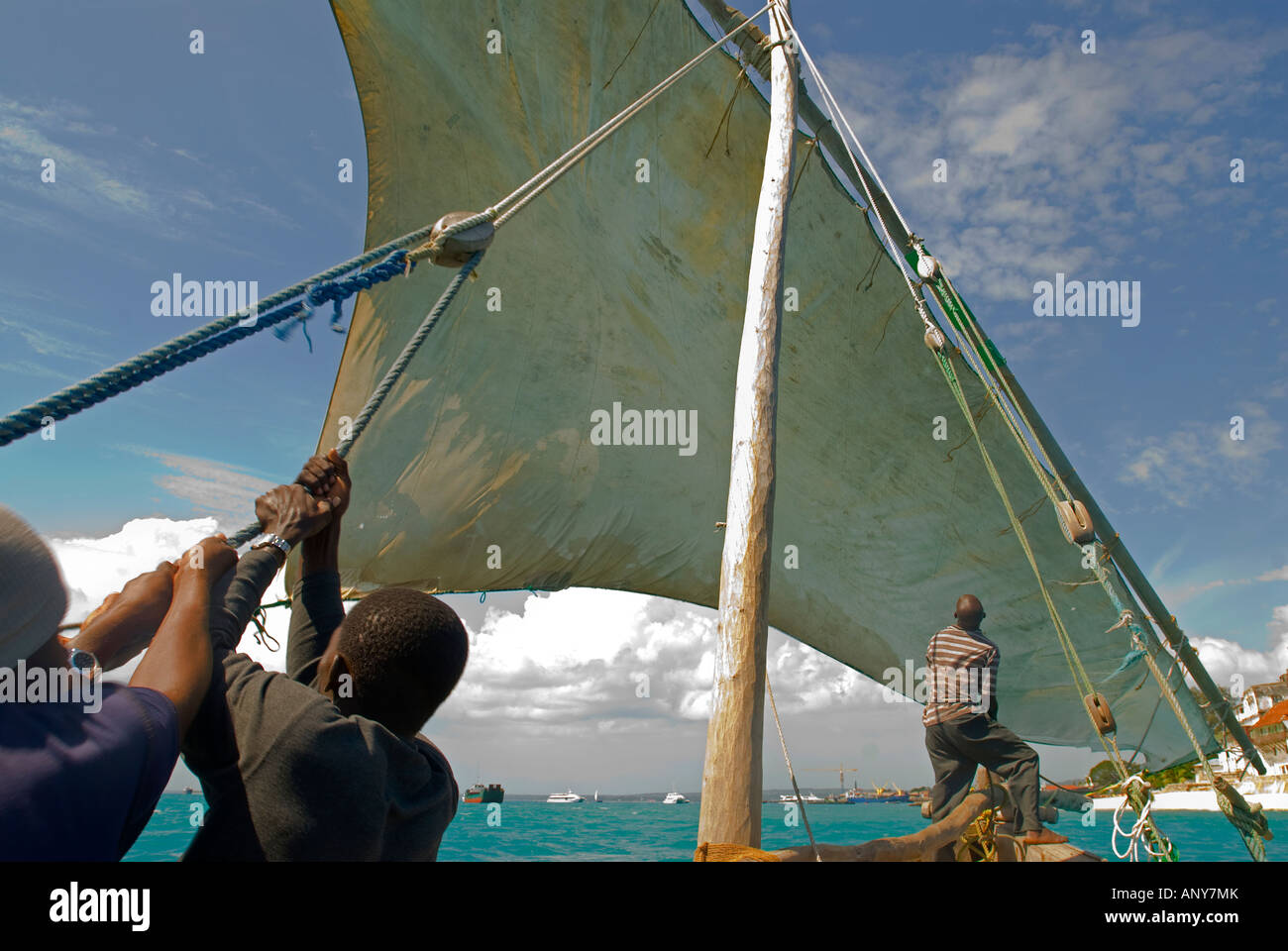 East Africa, Tanzania. Sailing an Arab dhow in Zanzibar. A dhow is a ...