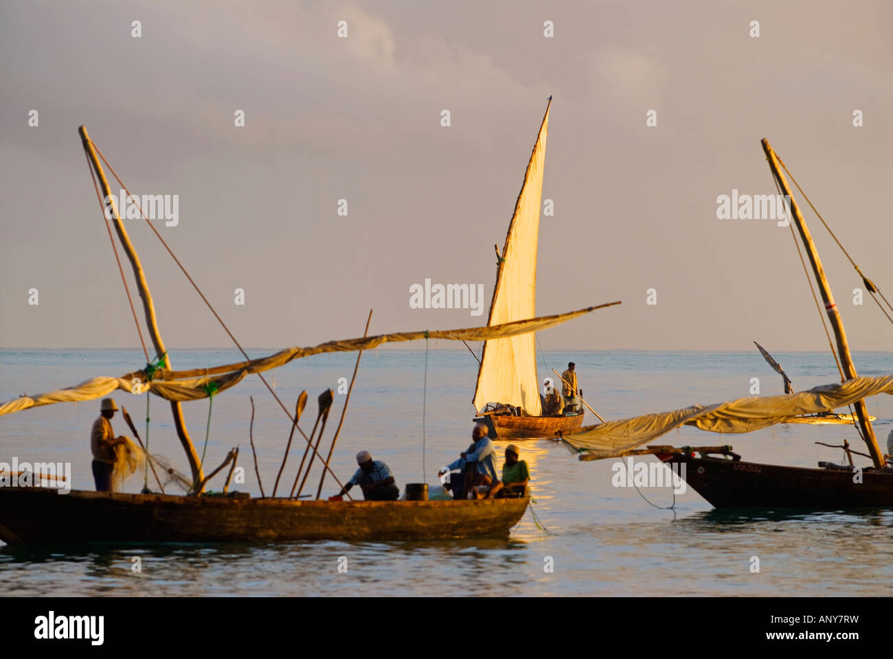 East Africa; Tanzania; Zanzibar. A dhow is a traditional Arab sailing ...