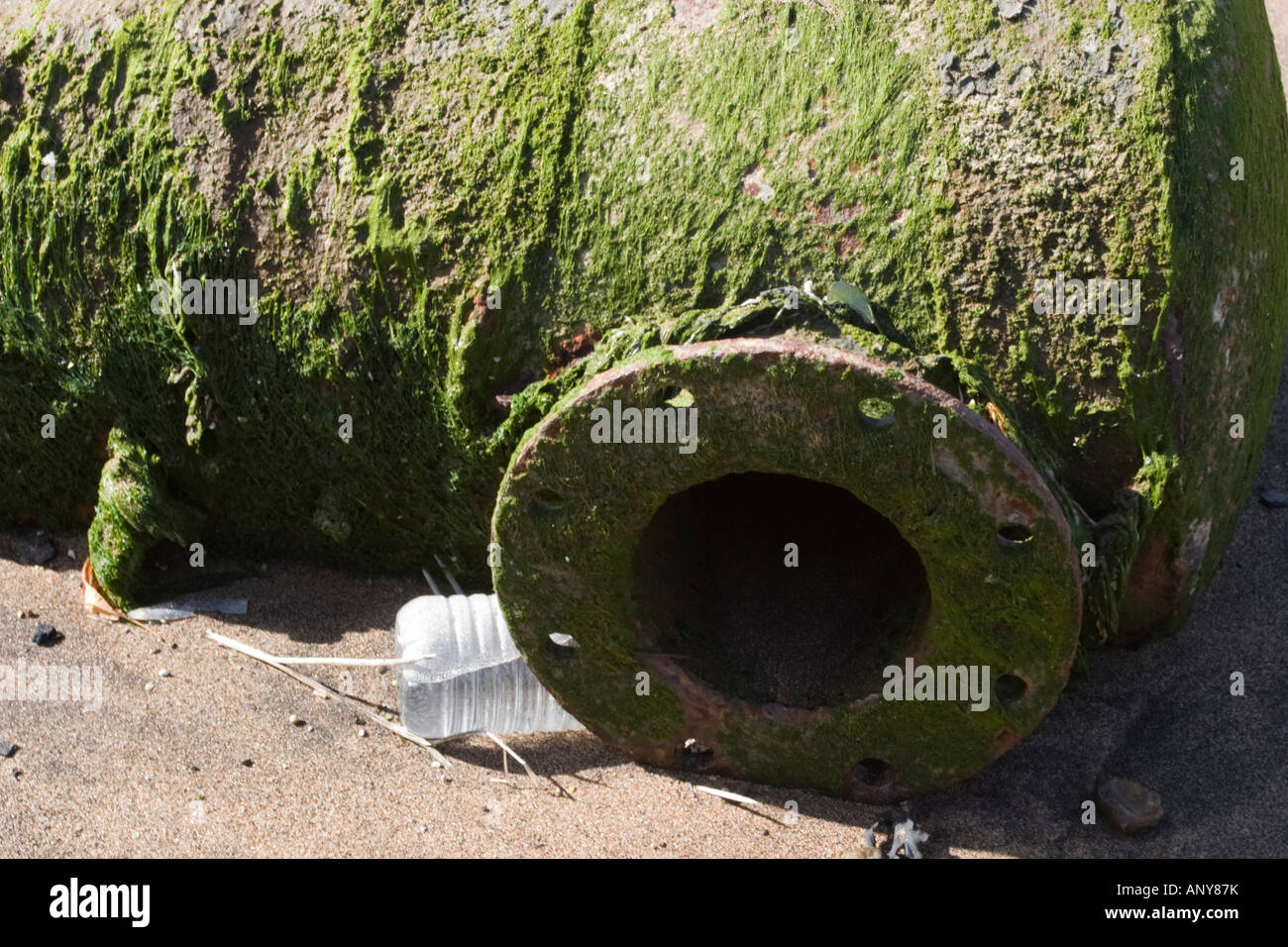Seaweed covered pipe hi-res stock photography and images - Alamy