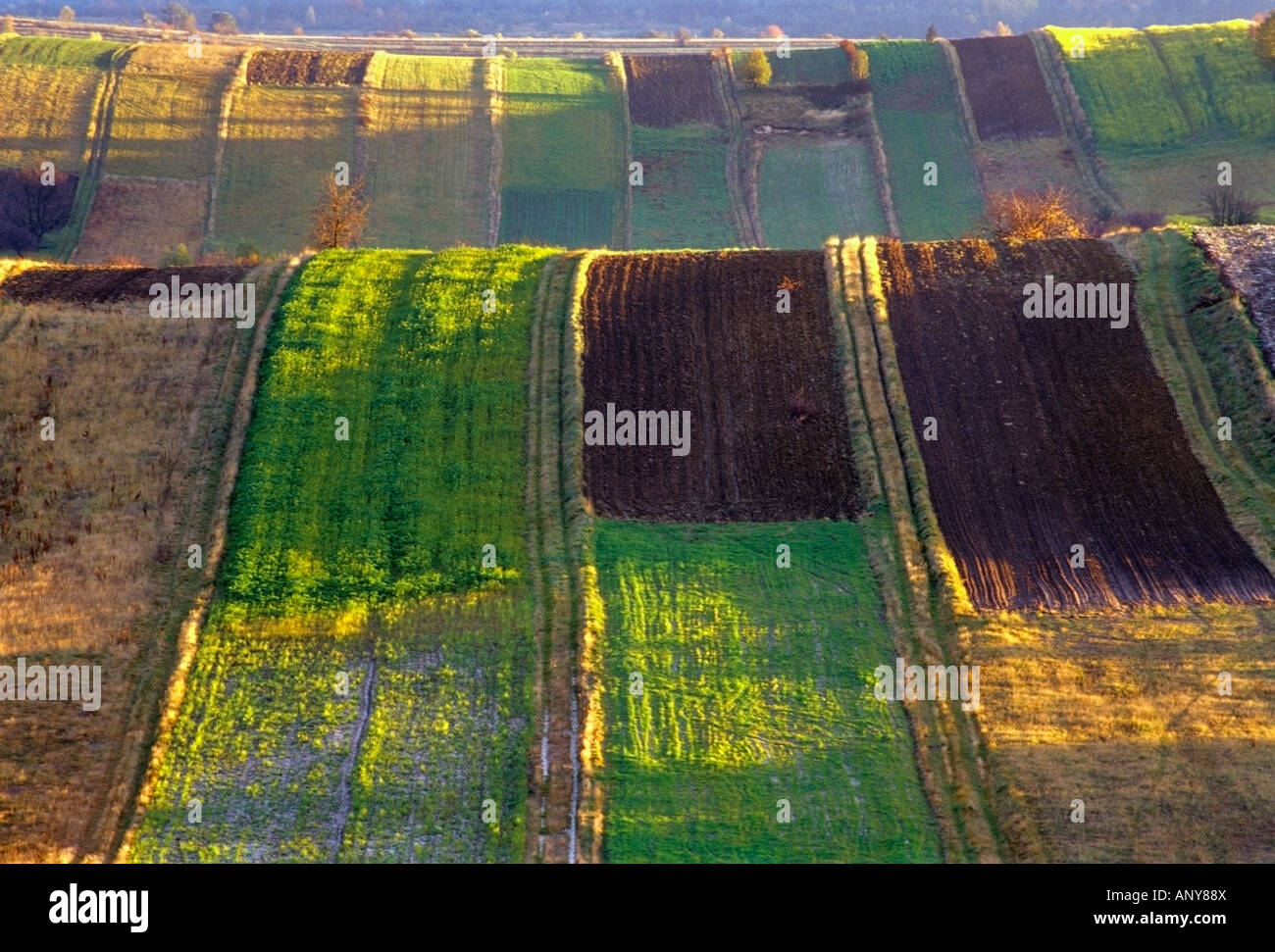 Agriculture landscape in Poland Stock Photo - Alamy