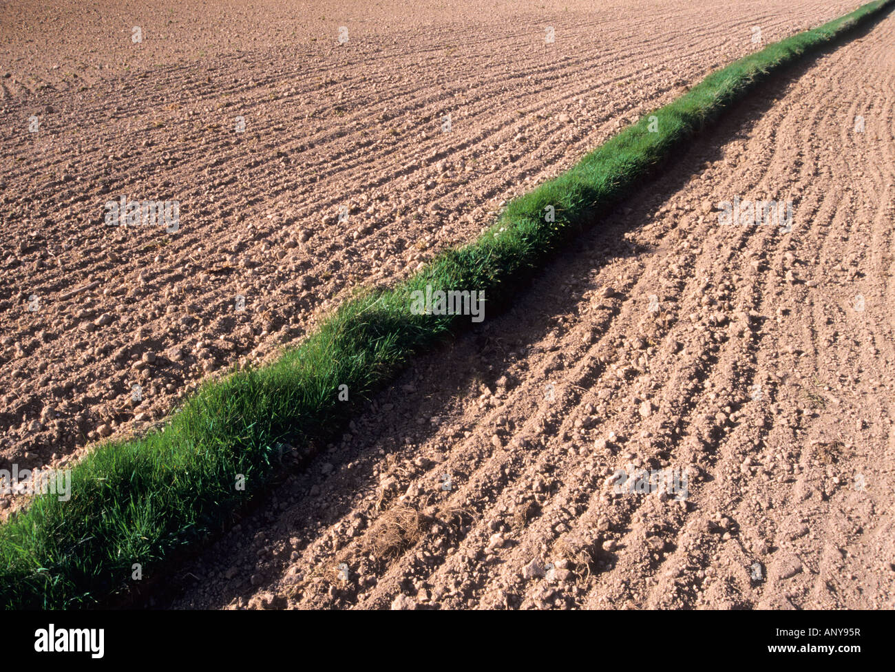 Balk line hi-res stock photography and images - Alamy