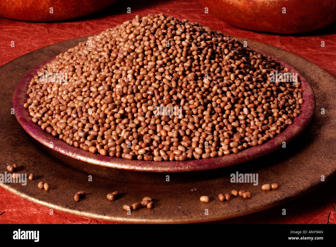 Muth beans hi-res stock photography and images - Alamy