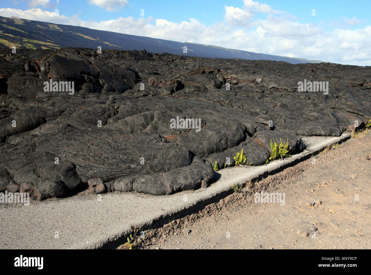 Old lava flow blocking Chain of Craters Road Hawaii Volcanoes National ...