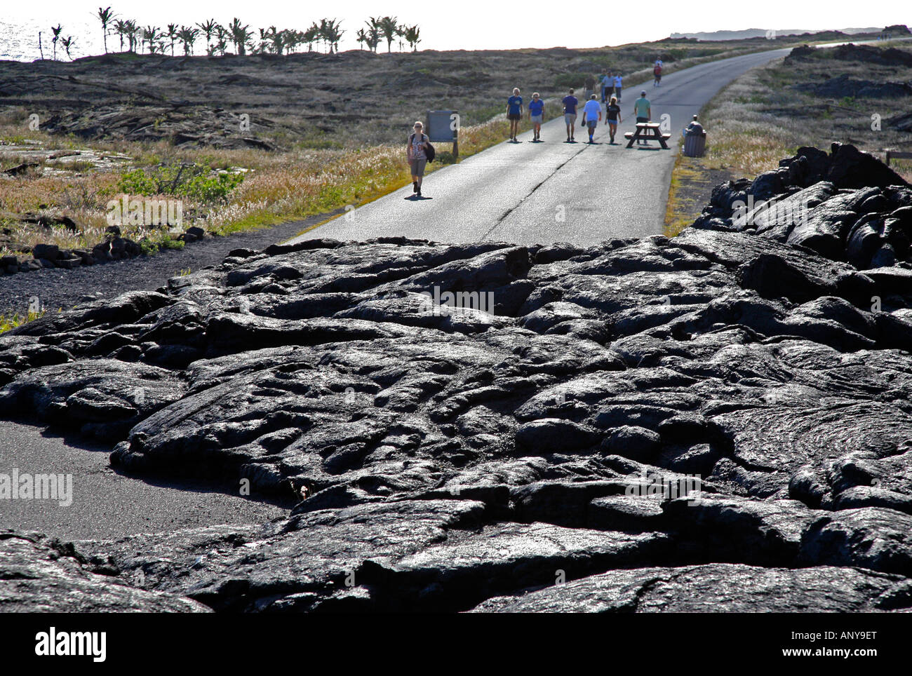 Old lava flow blocking Chain of Craters Road Hawaii Volcanoes National ...