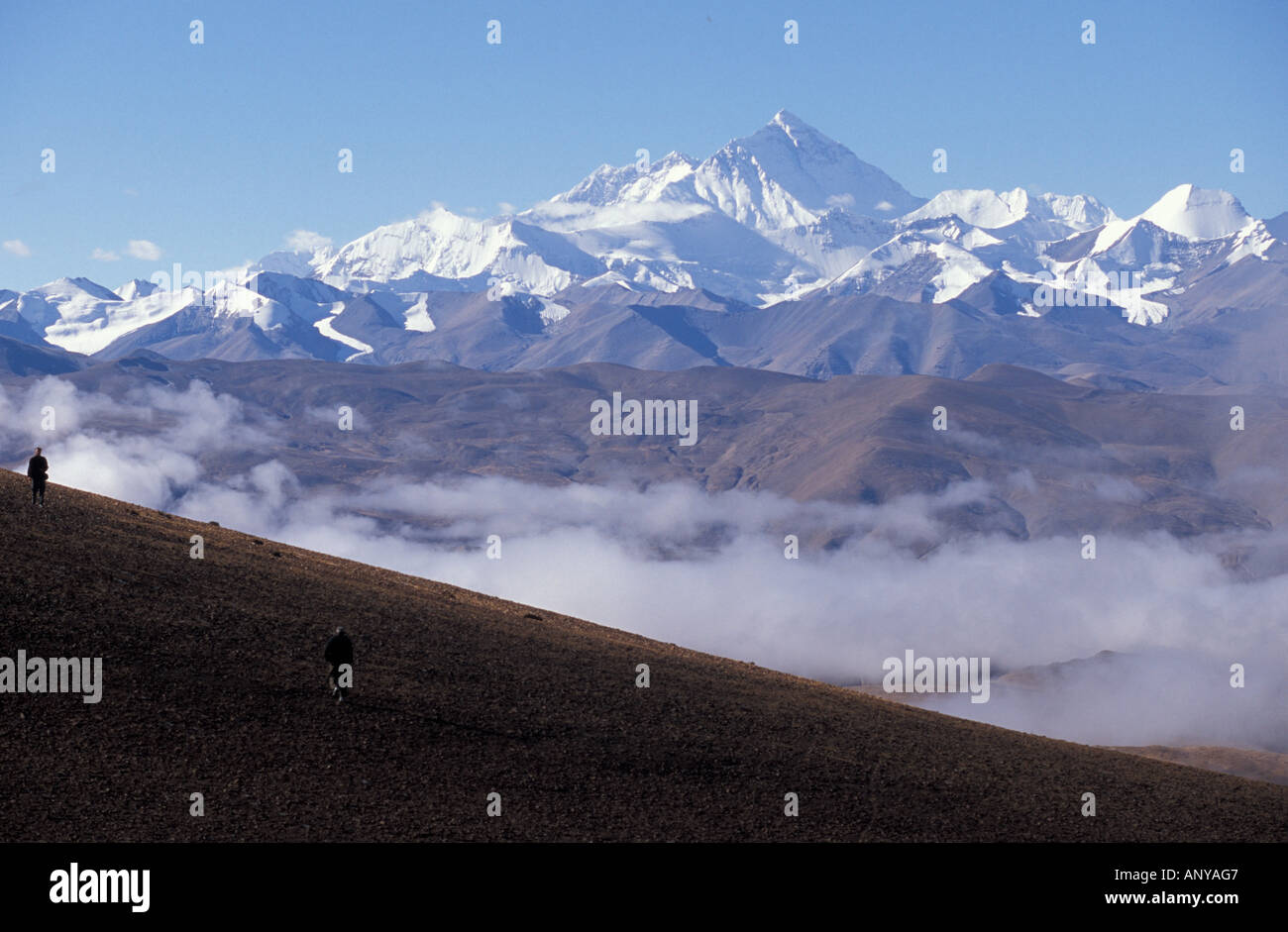 Tibet, Mt. Everest from Pang La Stock Photo - Alamy