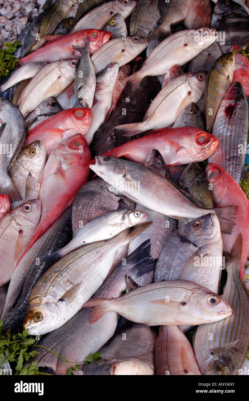 FRESH FISH ON MARKET STALL Stock Photo - Alamy