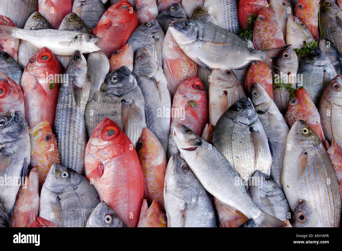 FRESH FISH ON MARKET STALL Stock Photo - Alamy