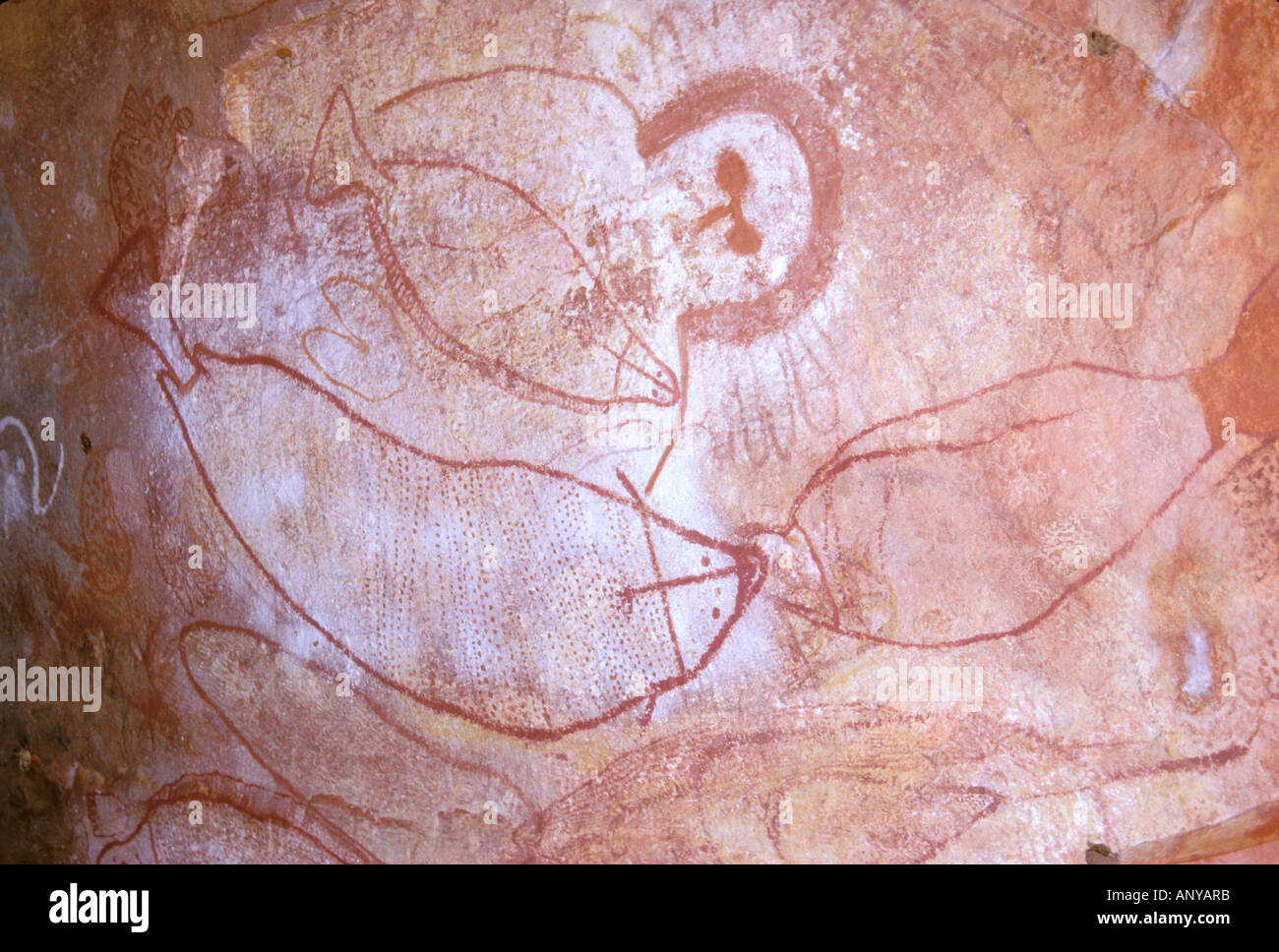 Raft point australia hi-res stock photography and images - Alamy