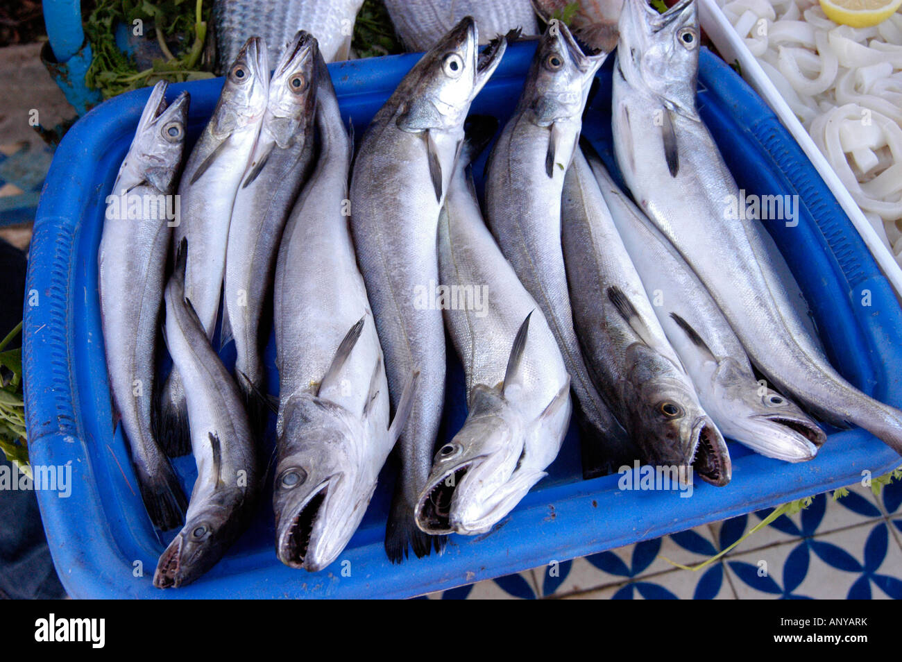 FRESH SARDINES ON MARKET STALL Stock Photo - Alamy