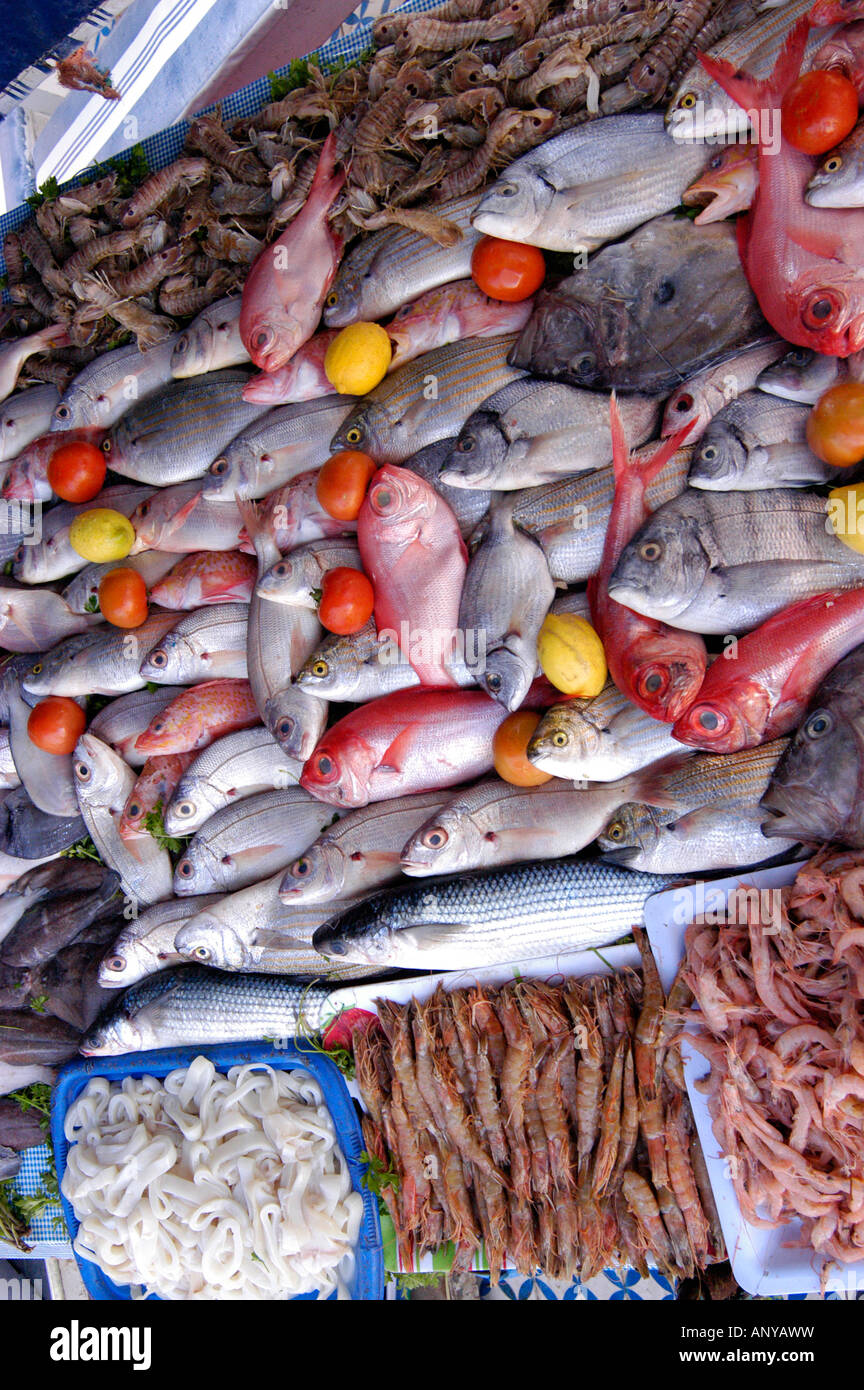 SELECTION OF FRESH FISH Stock Photo - Alamy