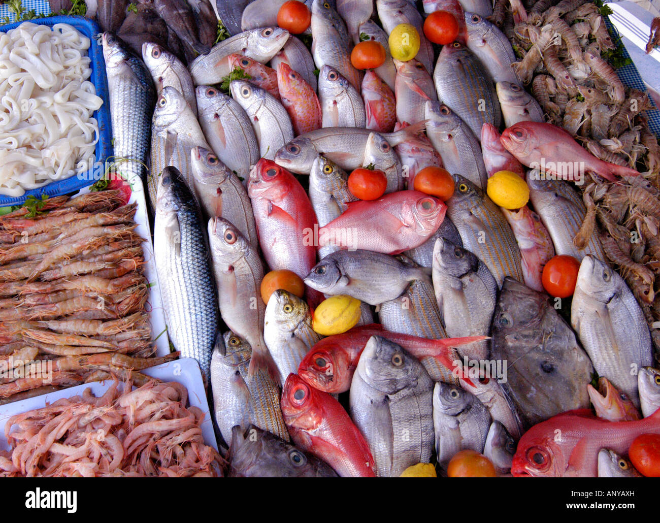 SELECTION OF FRESH FISH Stock Photo - Alamy