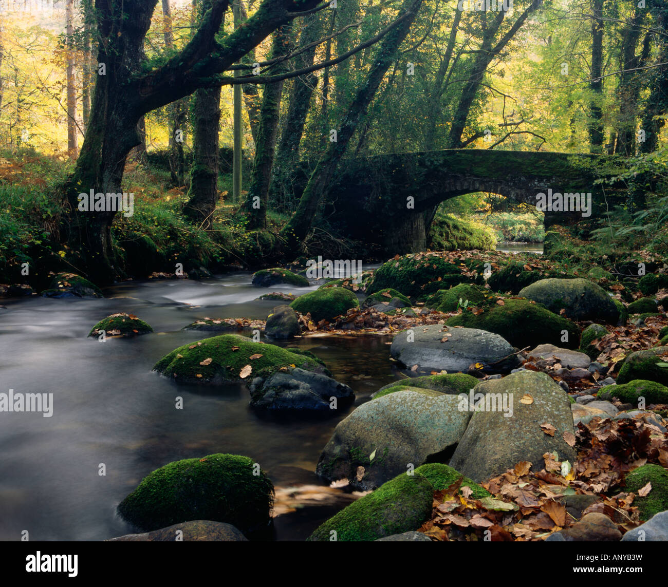 Buckland Bridge over the River Webburn immediately upstream from where ...