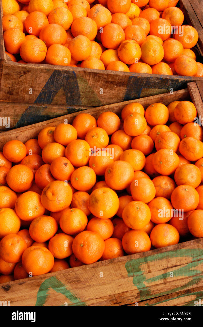 CRATES OF FRESH ORANGES Stock Photo - Alamy