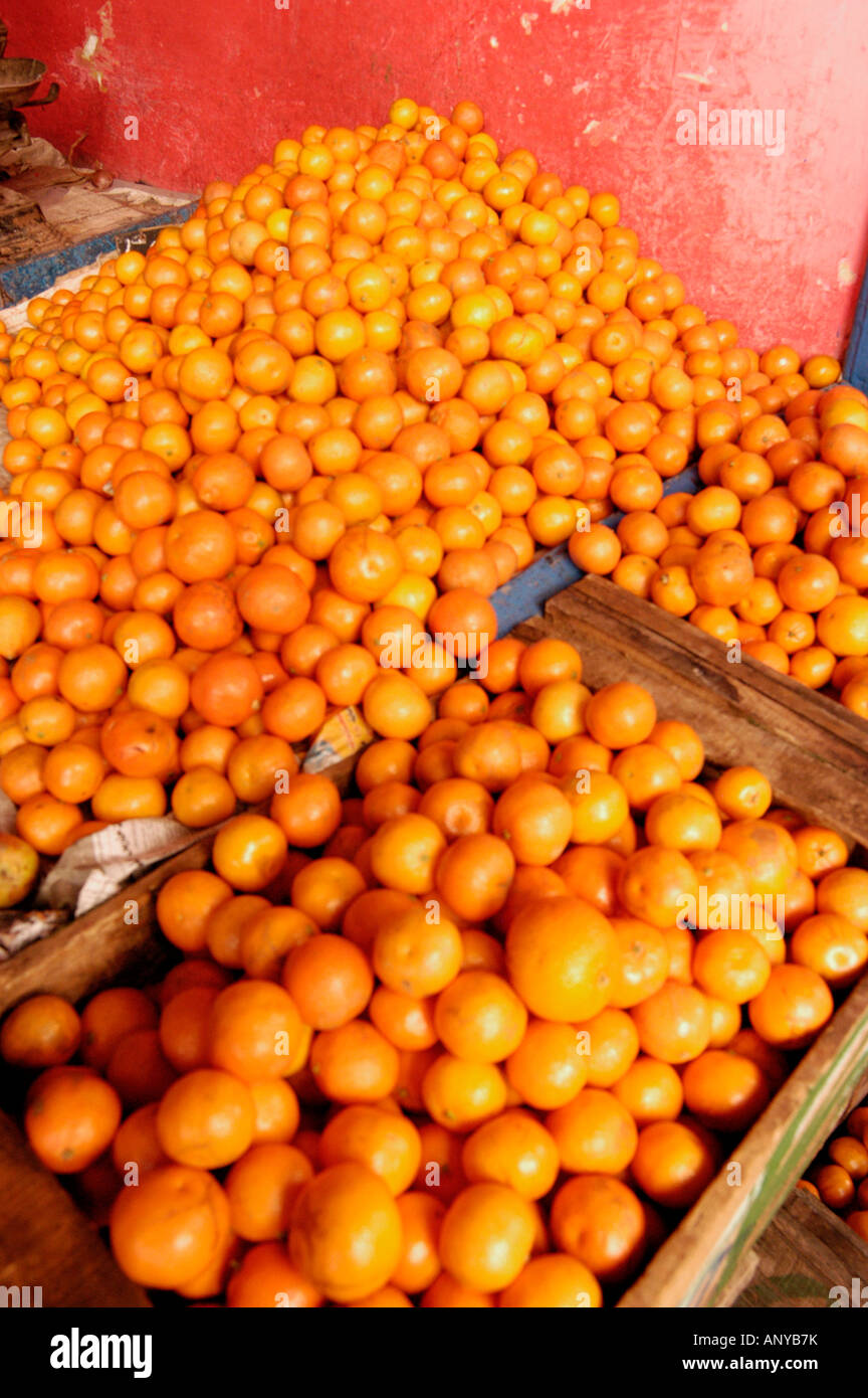 FRESH ORANGES IN NORTH AFRICAN MARKET Stock Photo - Alamy