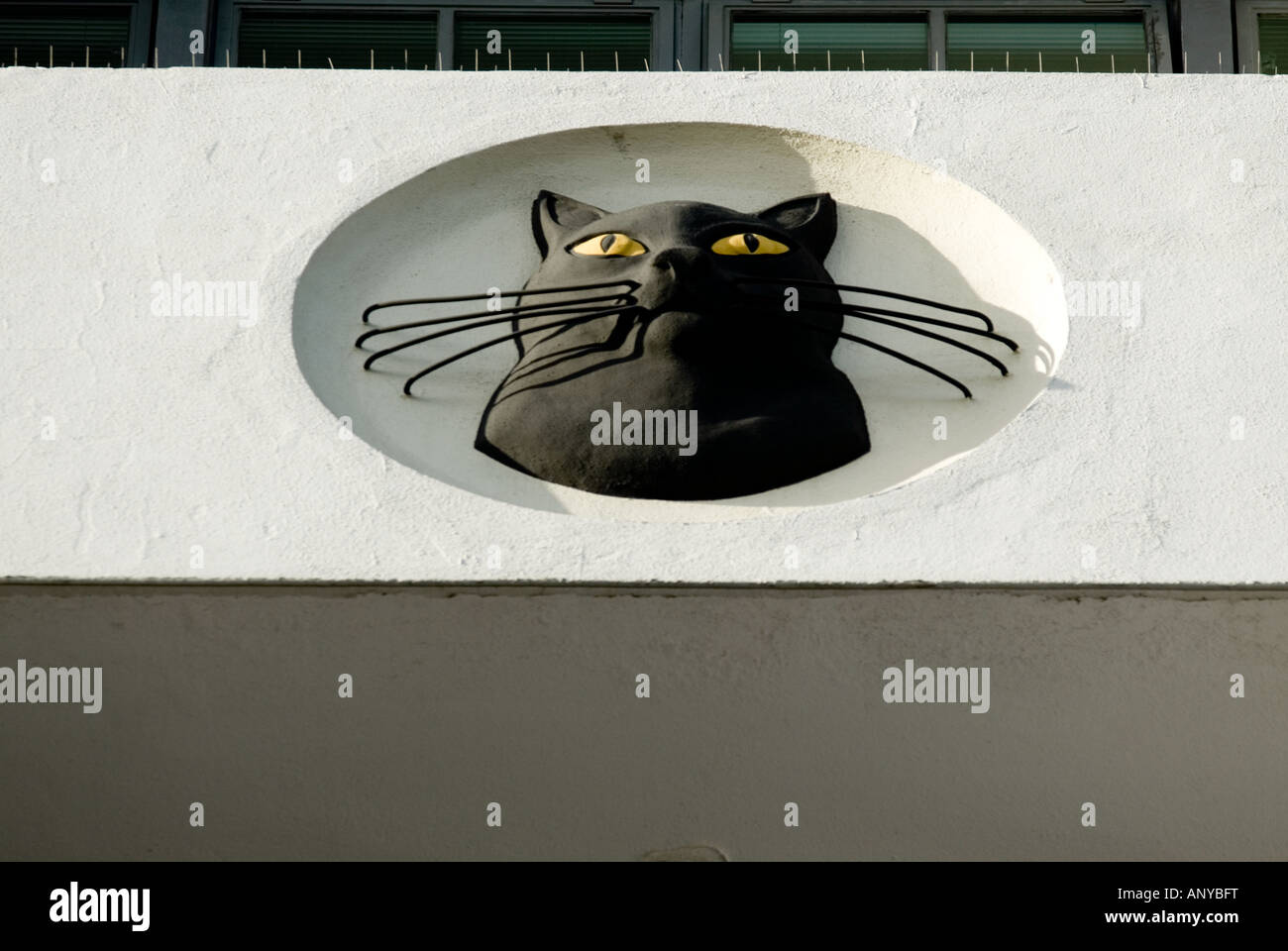 camden town black cat London Stock Photo - Alamy