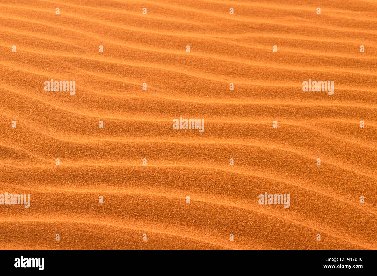 Oceania, Australia, Uluru-Tjuta National Park. Sand dune patterns Stock ...