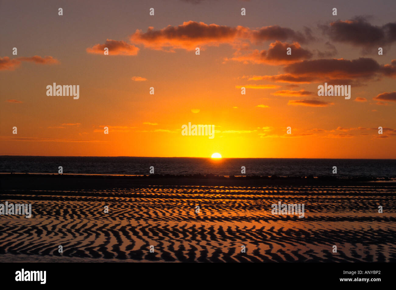 Australia, Western Australia, Ningaloo Reef, Coral Bay Stock Photo - Alamy