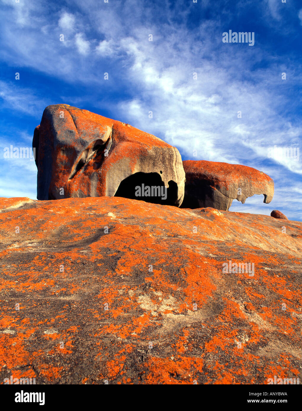 Flinders chase np hi-res stock photography and images - Alamy