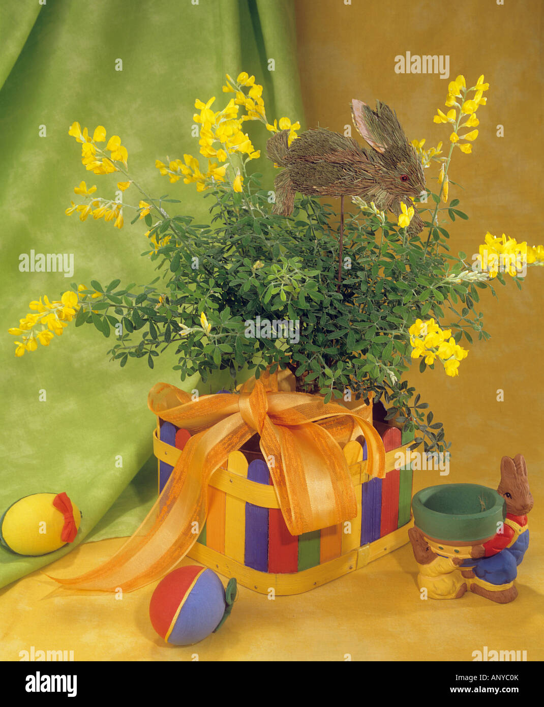 Gorse flower arrangement hi-res stock photography and images - Alamy