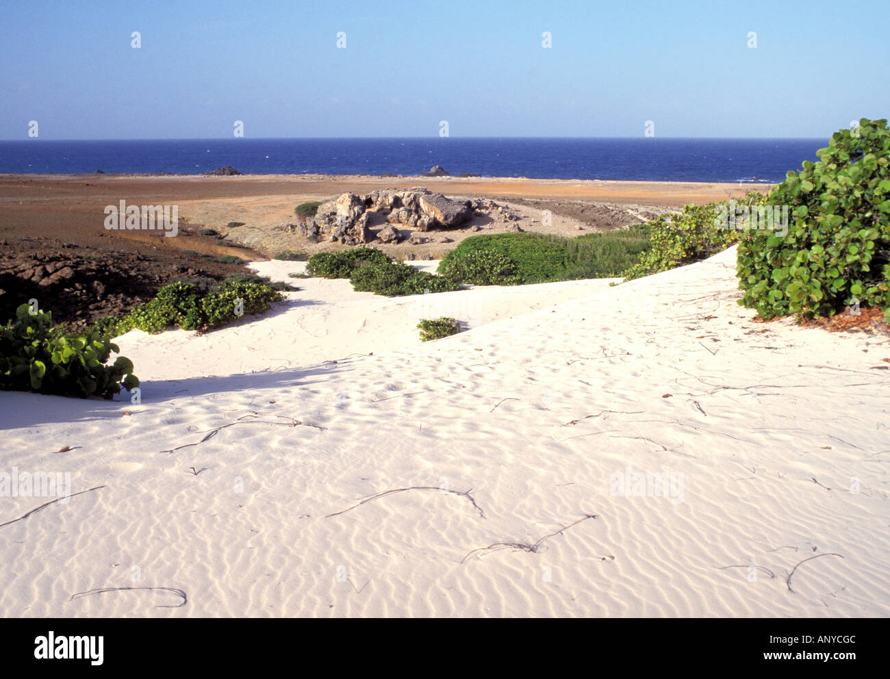 Caribbean, Aruba. Boca Grandi sand dunes Stock Photo - Alamy