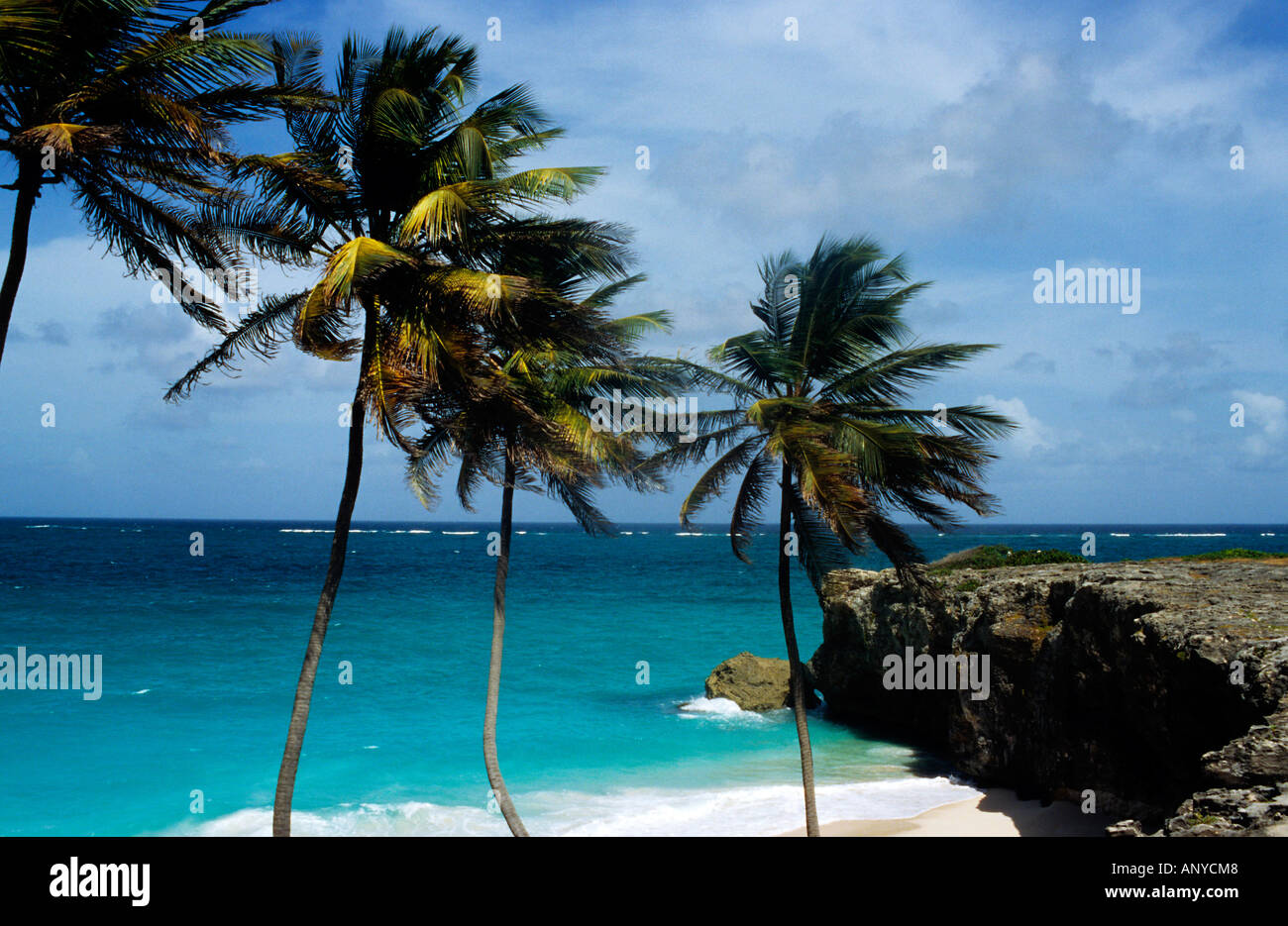 Barbados. Bottom bay Stock Photo - Alamy