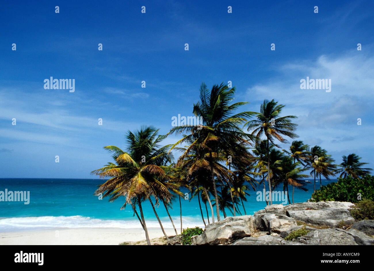 Barbados. Bottom bay Stock Photo - Alamy