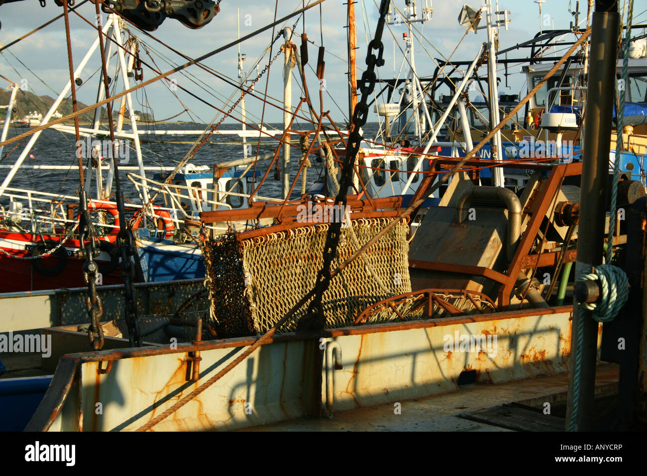 fishing trawlers at Moville harbour, over Lough Foyle, Donegal, Ireland ...