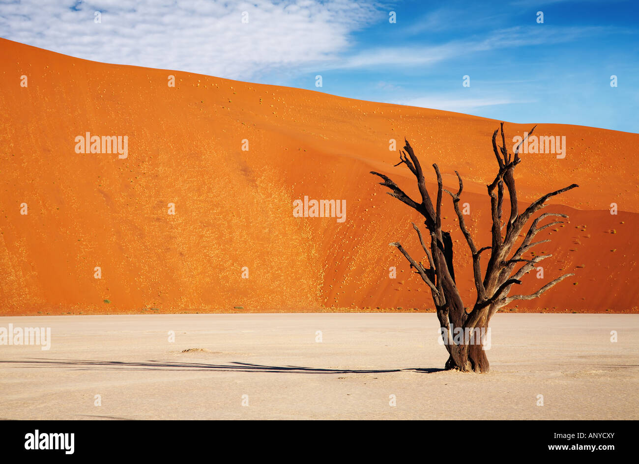 Dead vlei namibia clouds hi-res stock photography and images - Alamy