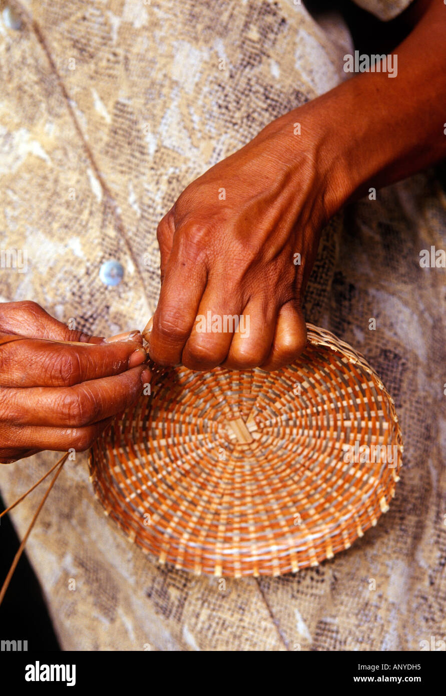 Carib Indians weave baskets from L'arouma reed, Carib Nation Territory ...