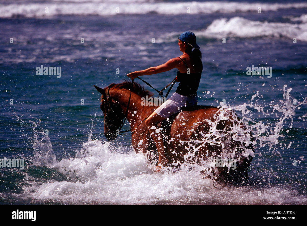 Caribbean horseback riding beach hi-res stock photography and images ...