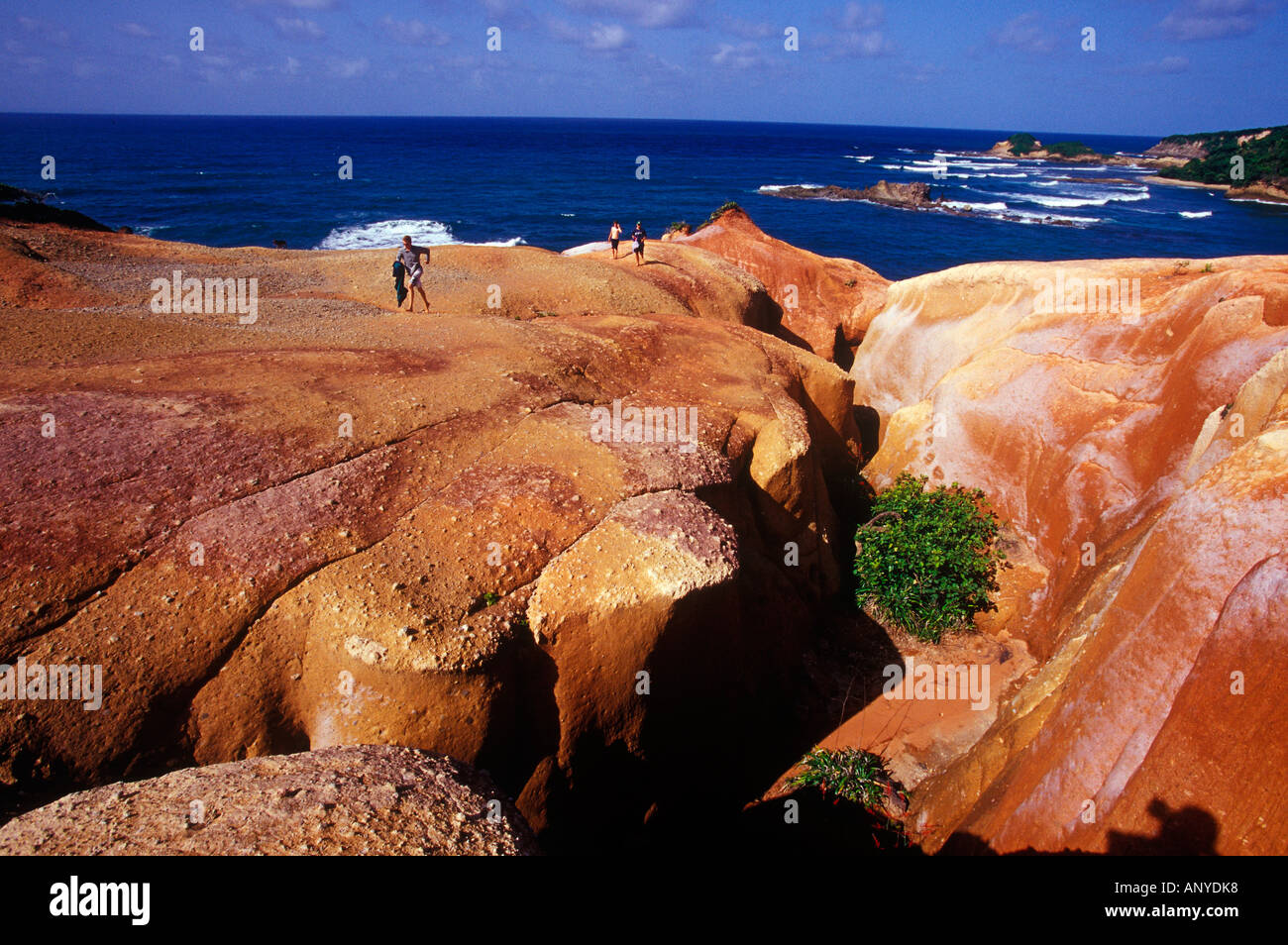 Caribbean, Dominica. Putney Program students at Red Rock, Pointe ...