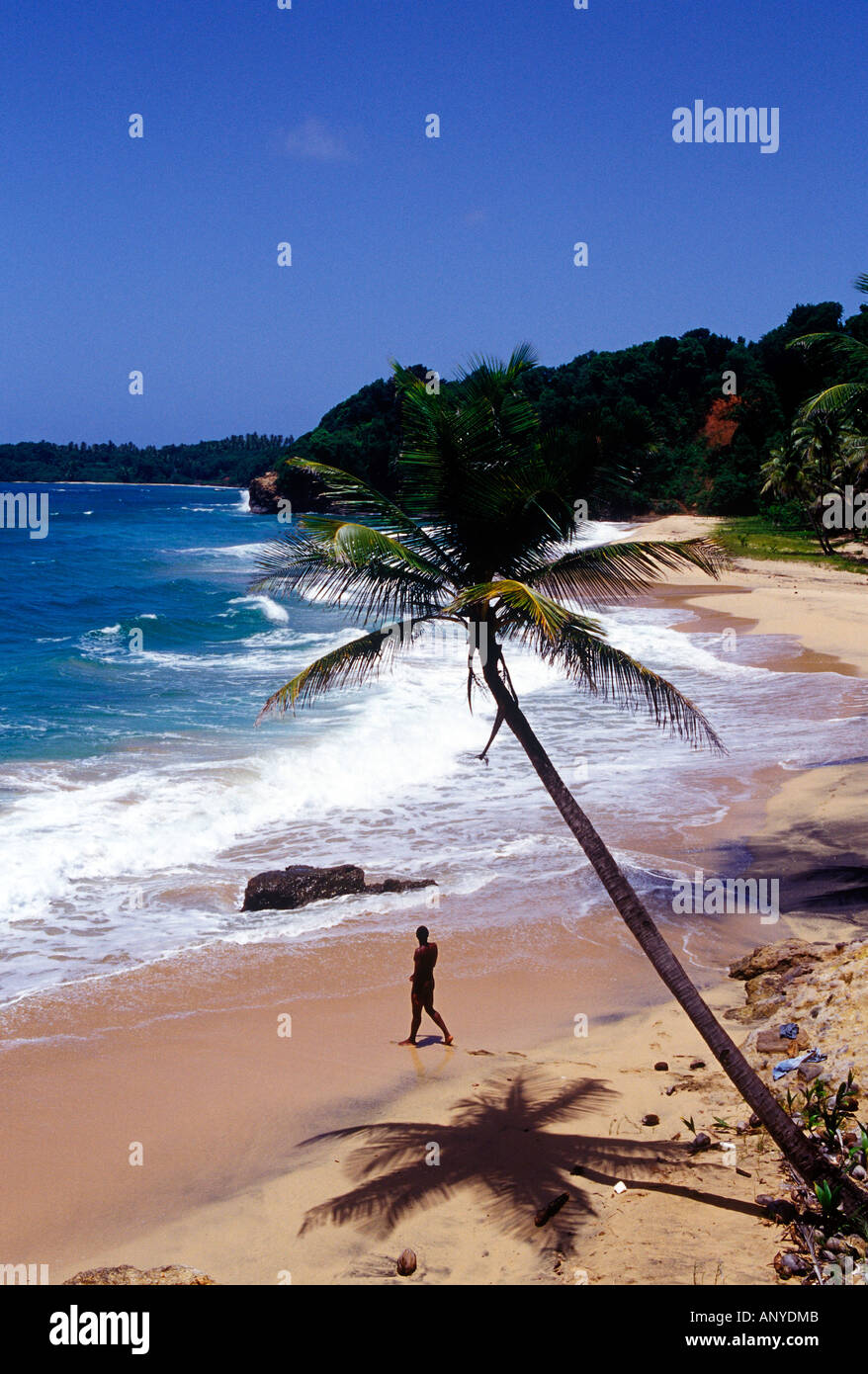 Turtle Beach, Atlantic Coast, Dominica, Caribbean Stock Photo - Alamy