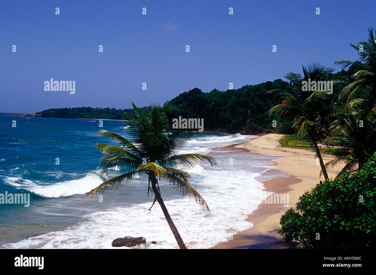 Turtle Beach, Atlantic Coast, Dominica, Caribbean Stock Photo - Alamy